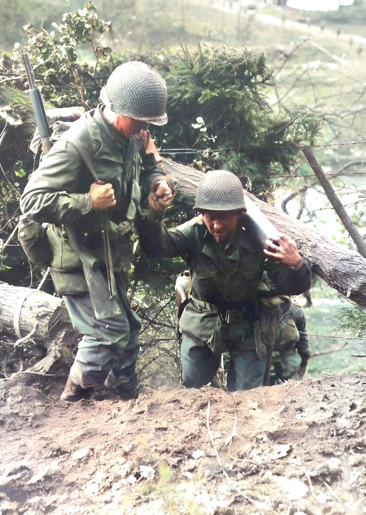 The Battle of Hürtgen Forest. WWII’s Grueling Border Clash